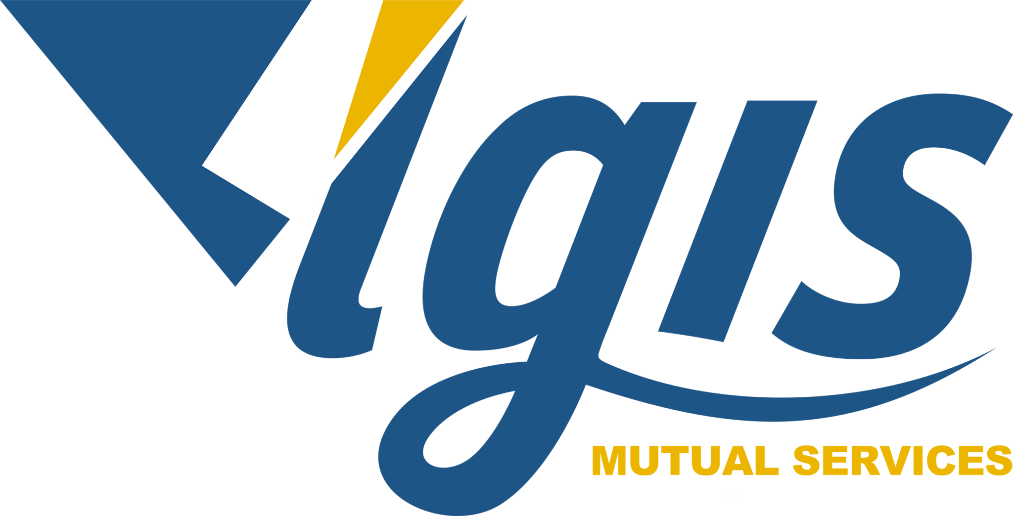 30 Years of LGIS - LGIS - Risk Matters